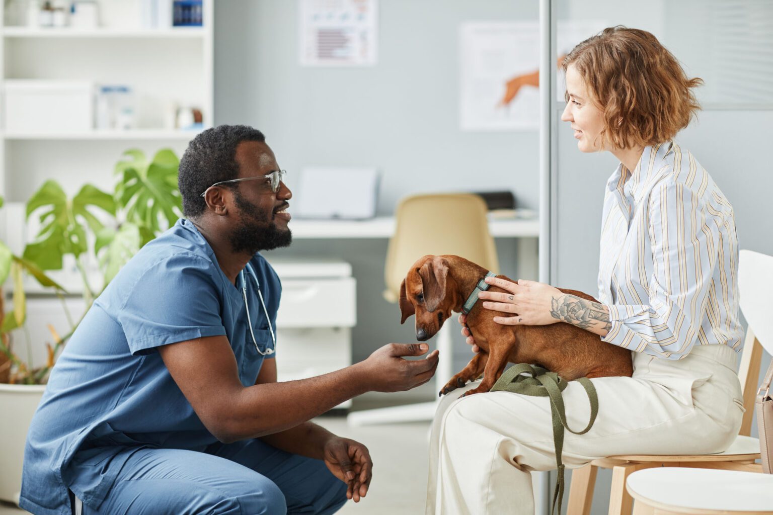 Veterinarian Phillipsburg, NJ | Warren Animal Hospital
